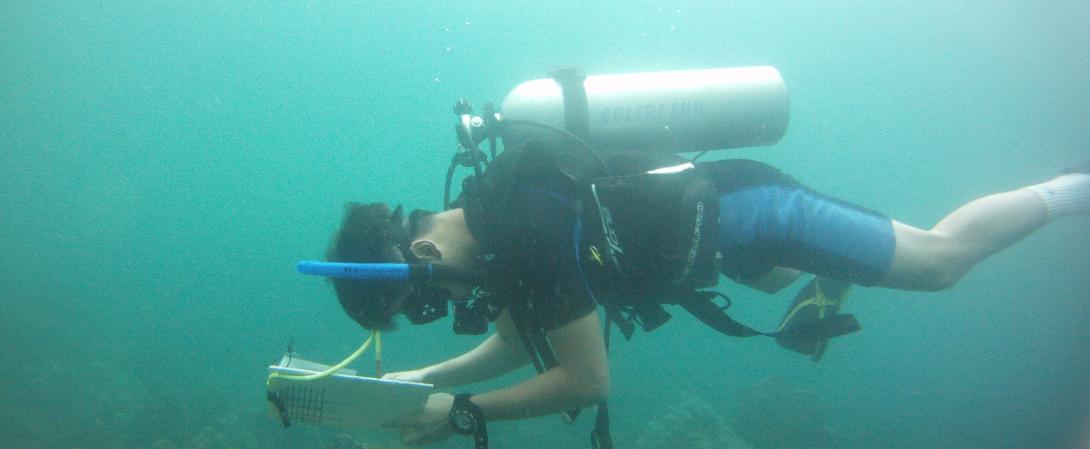 Fiji Divemaster Course Add-on | Projects Abroad